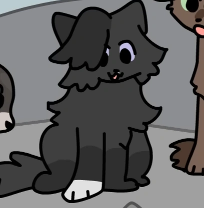 Shadowpaw | Moonkitti's StoneClan Wiki | Fandom