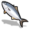 Amberjack | Moonlight Sculptor Wiki | Fandom