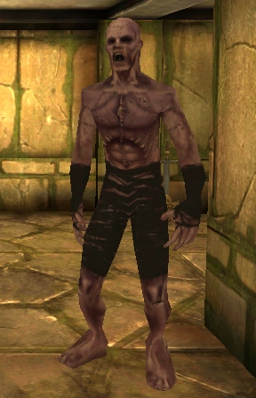 Enemies/Infected Zombie | Moonshades Wiki | Fandom