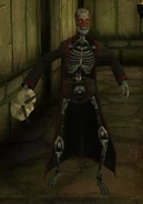 Enemies/Skeleton Fire Mage | Moonshades Wiki | Fandom