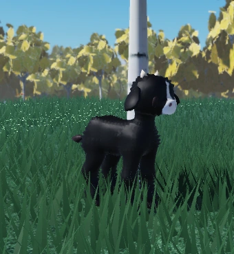 NPCs | Moo Wiki | Fandom