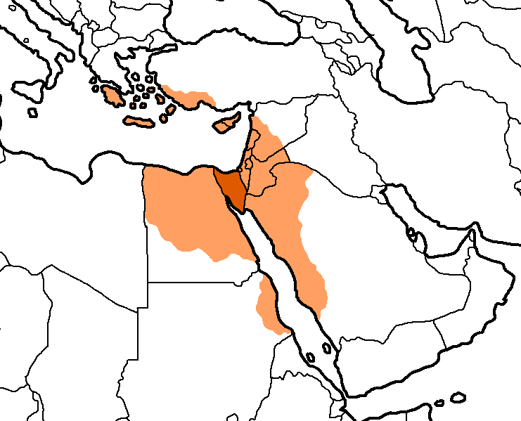 Quitara | Wiki Mopc | Fandom