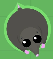 Outlines | Mope.io Wiki | Fandom