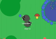 Mole | Mope.io Wiki | Fandom