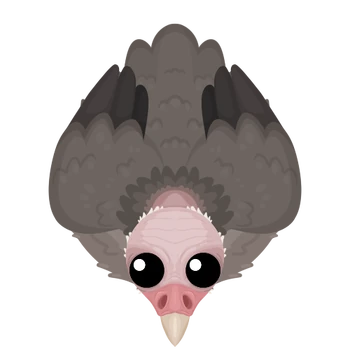 Vulture | Mope.io Wiki | Fandom