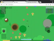 Mole | Mope.io Wiki | Fandom