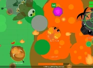 Phoenix | Mope.io Wiki | Fandom