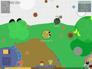 Mole | Mope.io Wiki | Fandom