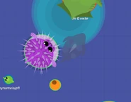 Pufferfish | Mope.io Wiki | Fandom