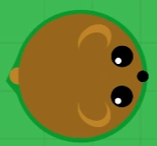 Bear | Mope.io Wiki | Fandom