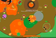 Phoenix | Mope.io Wiki | Fandom