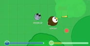 Mouse | Mope.io Wiki | Fandom
