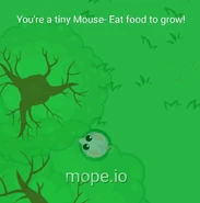 Mouse | Mope.io Wiki | Fandom