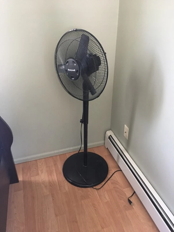 Fan | Mopia Wiki | Fandom