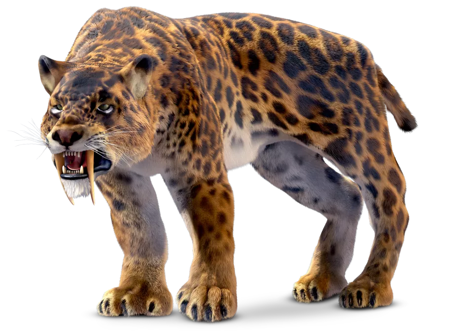 Smilodon More Dinosaurs Wiki Fandom