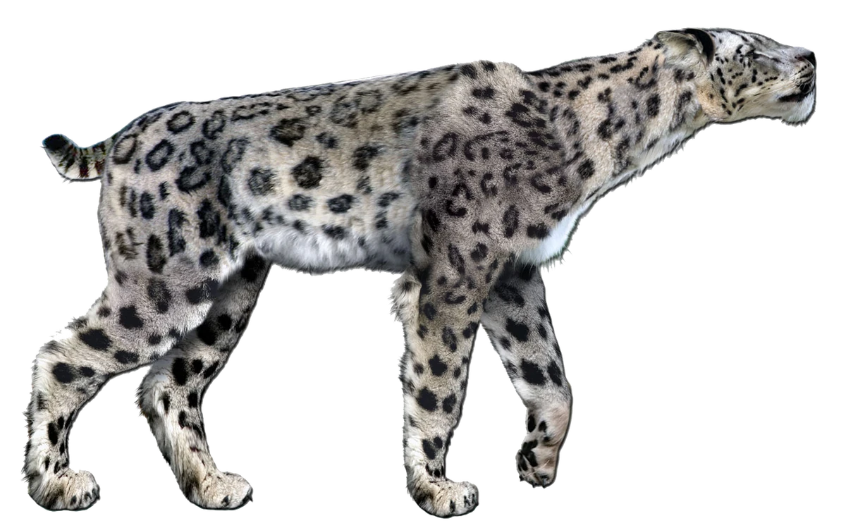 Homotherium | More Dinosaurs! Wiki | Fandom