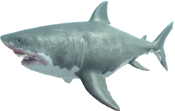 Mutant Megalodon | More Dinosaurs! Wiki | Fandom