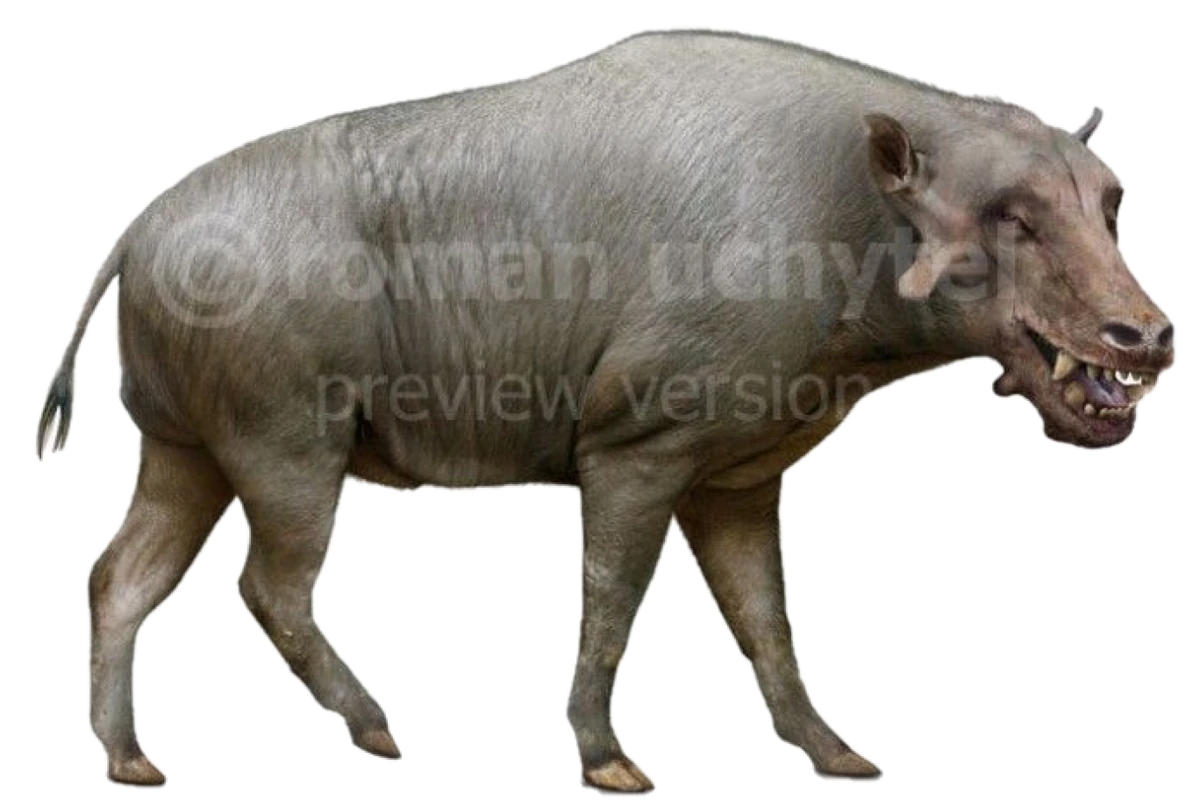 Paraentelodon | More Dinosaurs! Wiki | Fandom