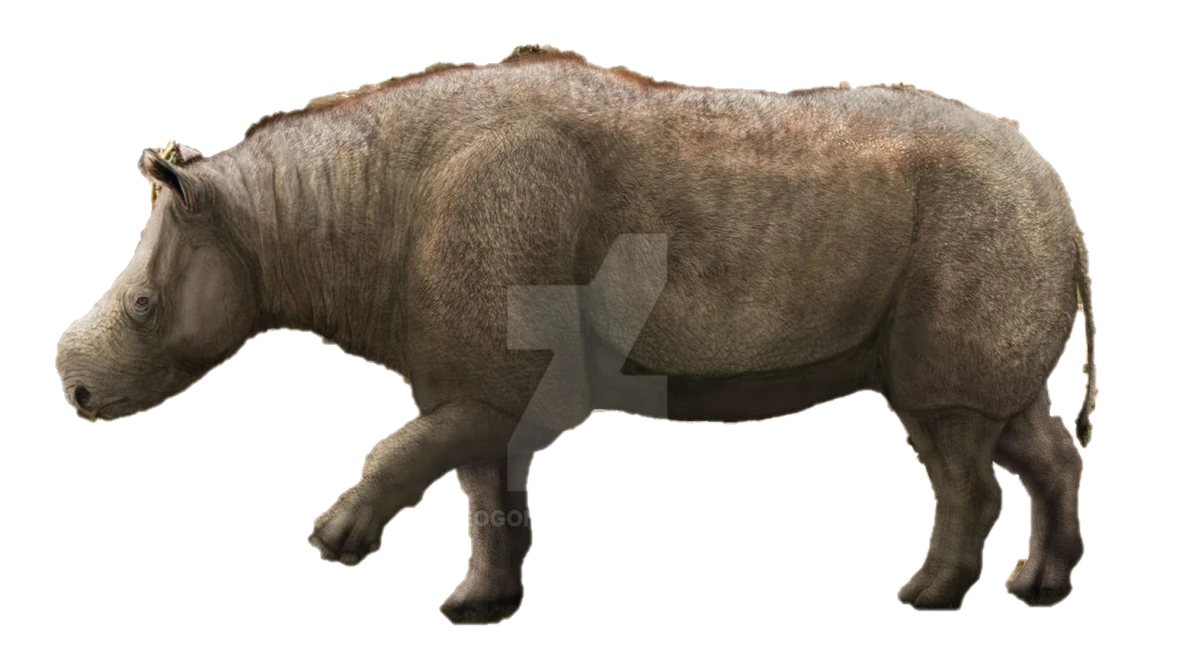 Trigonias | More Dinosaurs! Wiki | Fandom