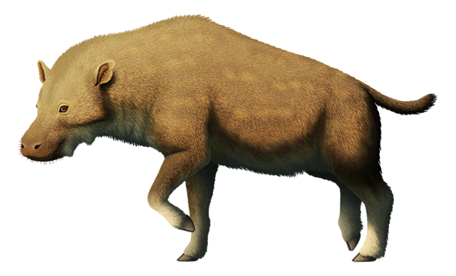 Eoentelodon | More Dinosaurs! Wiki | Fandom