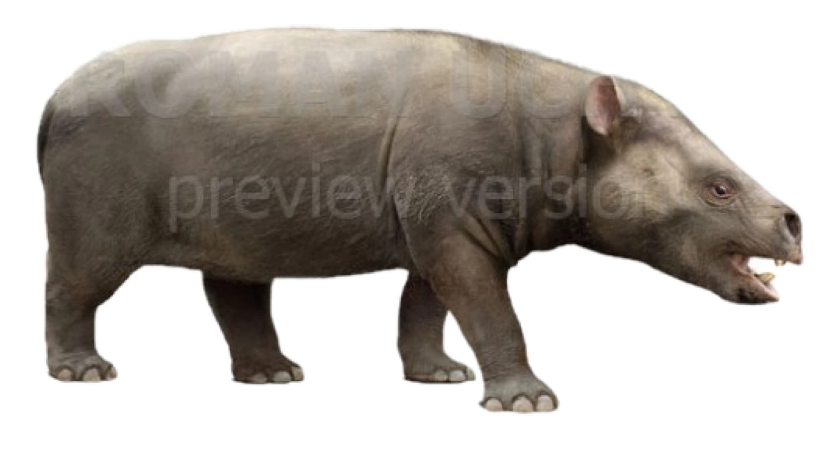 Phosphatherium | More Dinosaurs! Wiki | Fandom