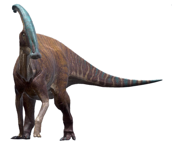 Parasaurolophus | More Dinosaurs! Wiki | Fandom