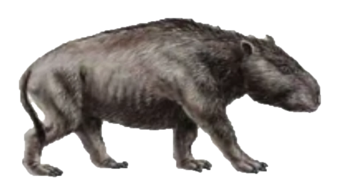 Nesodon | More Dinosaurs! Wiki | Fandom