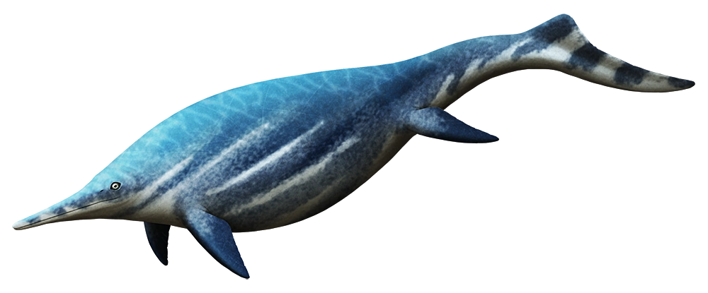 Shonisaurus | More Dinosaurs! Wiki | Fandom