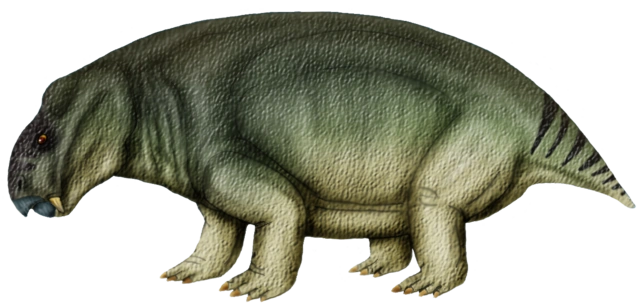 Acratophorus | More Dinosaurs! Wiki | Fandom