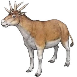 Hexameryx | More Dinosaurs! Wiki | Fandom