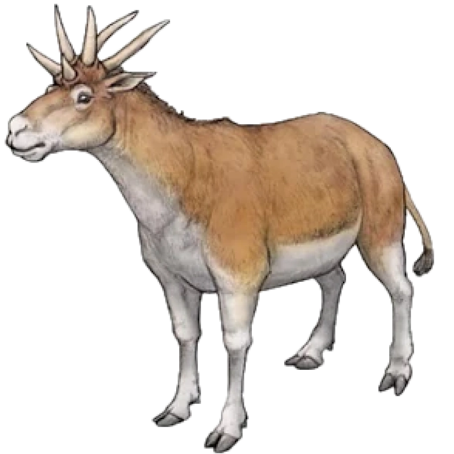 Hexameryx | More Dinosaurs! Wiki | Fandom