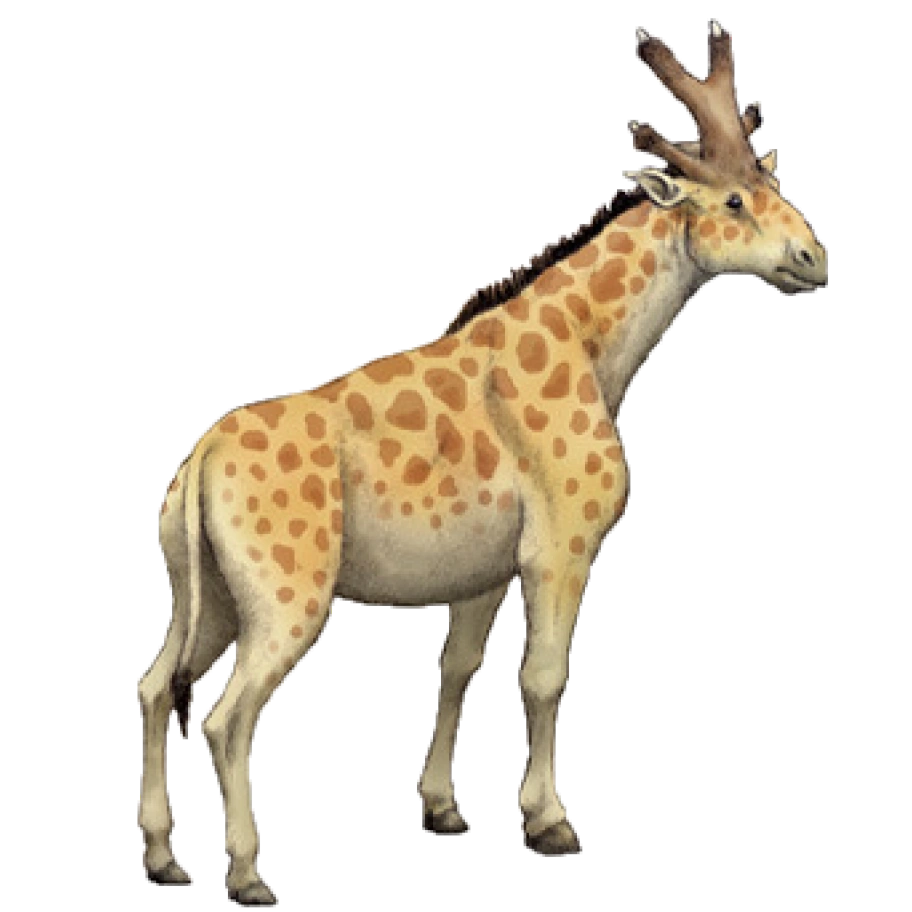 Bramatherium | More Dinosaurs! Wiki | Fandom