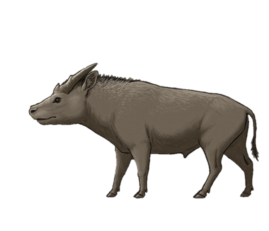 Carnovitulus | More Dinosaurs! Wiki | Fandom