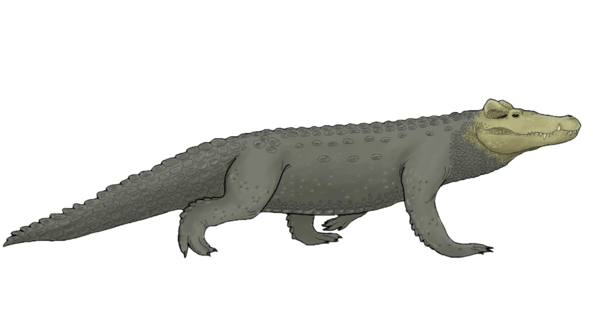 Voay | More Dinosaurs! Wiki | Fandom