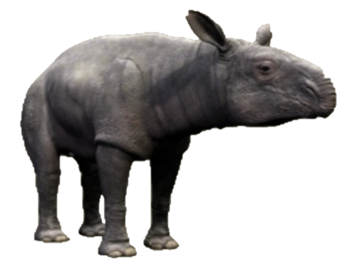 Forstercopperia | More Dinosaurs! Wiki | Fandom