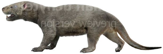 Proborhyaena | More Dinosaurs! Wiki | Fandom