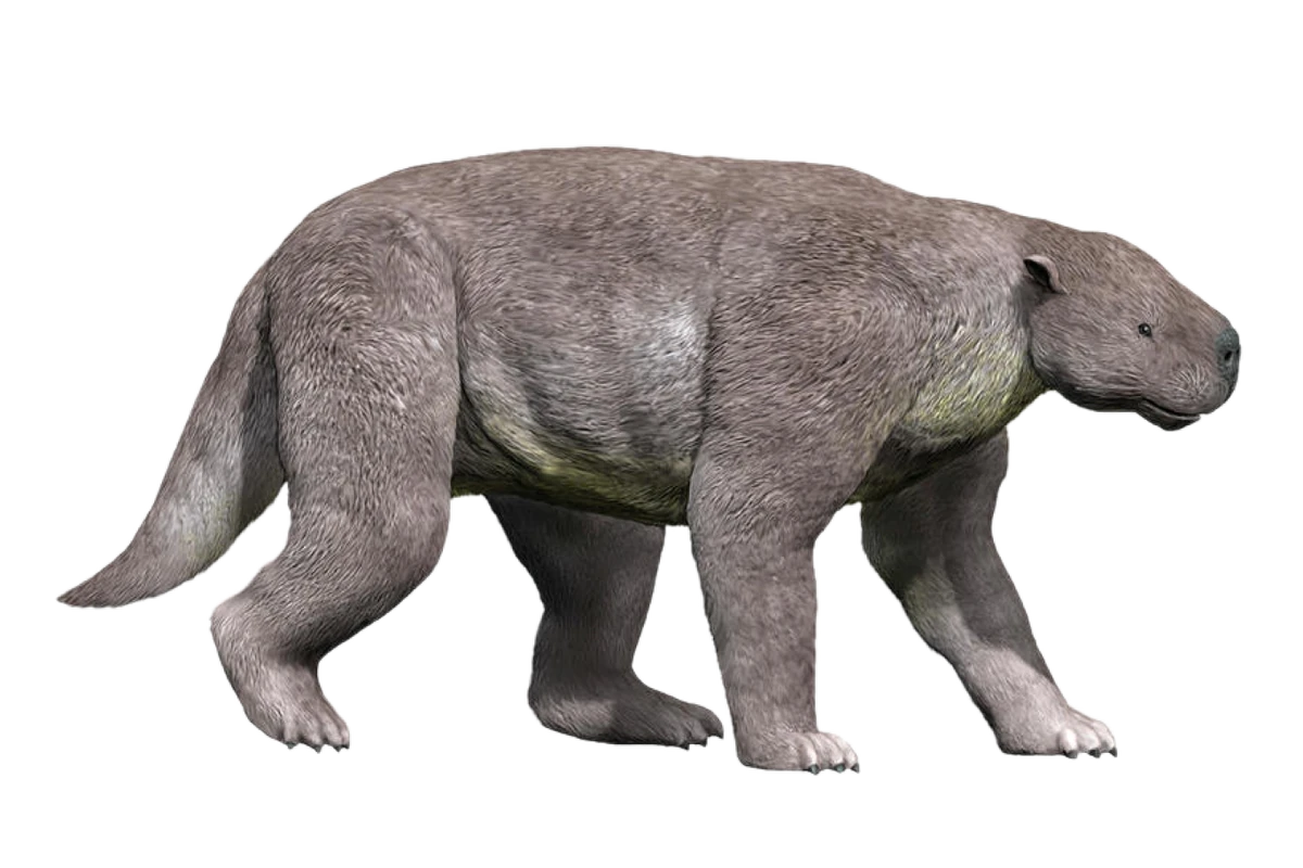 Barylambda | More Dinosaurs! Wiki | Fandom