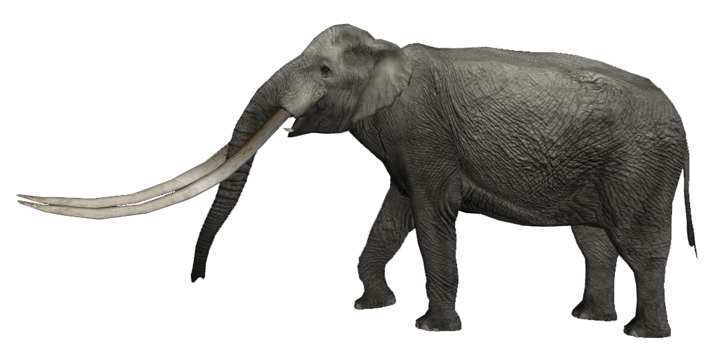 Zygolophodon | More Dinosaurs! Wiki | Fandom