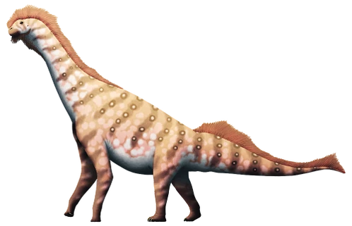 Atlasaurus | More Dinosaurs! Wiki | Fandom