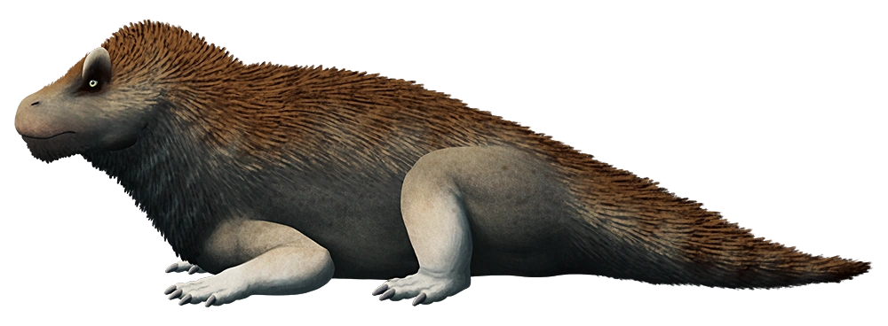 Anteosaurus | More Dinosaurs! Wiki | Fandom