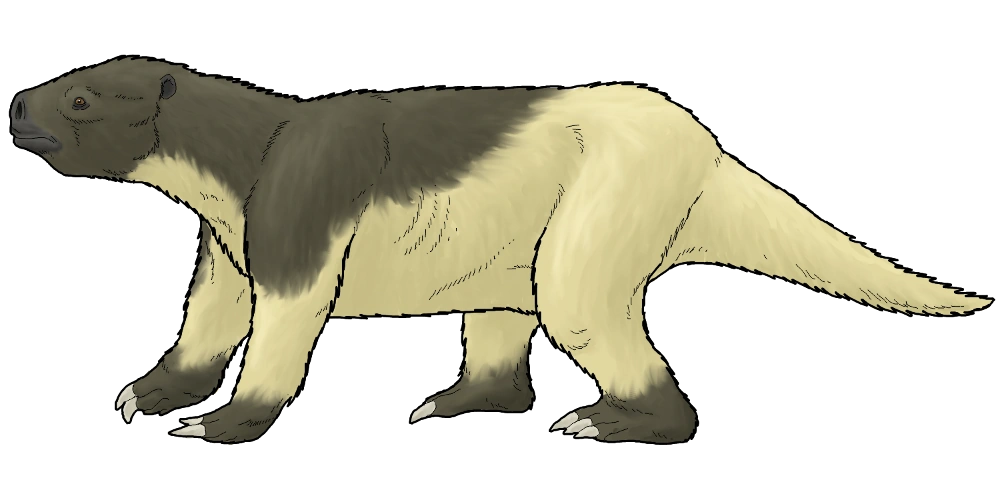 Pseudoprepotherium | More Dinosaurs! Wiki | Fandom