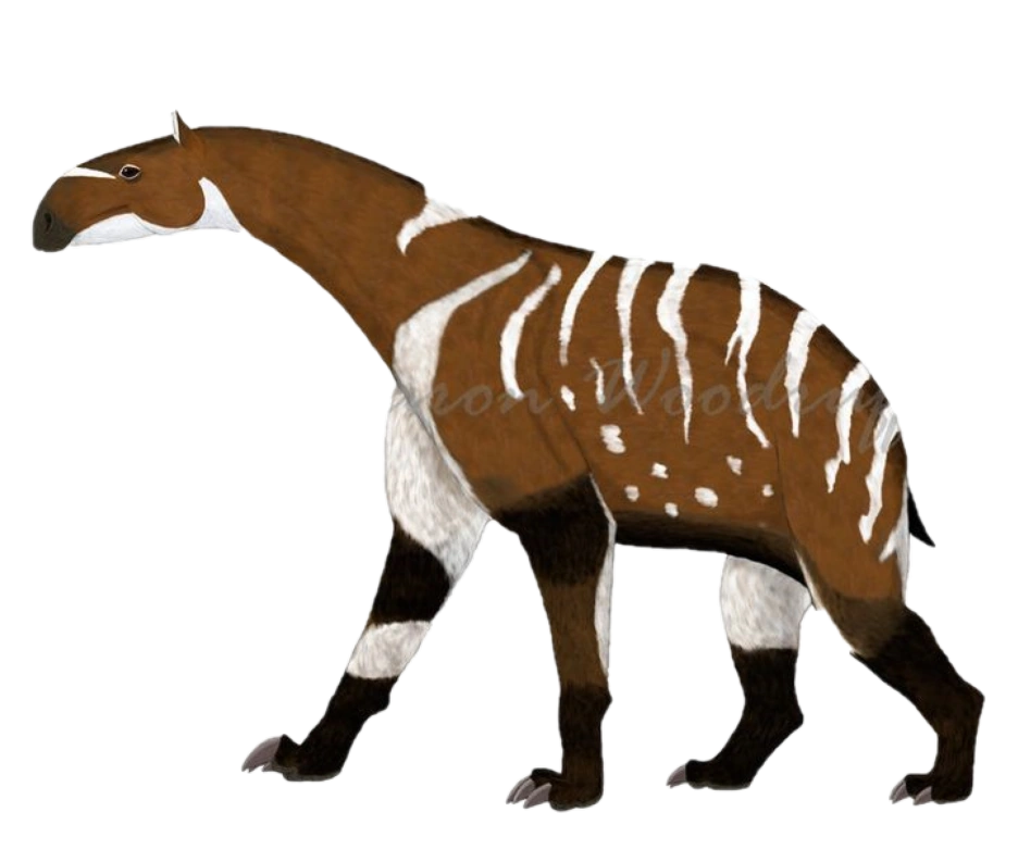 Moropus Elatus | More Dinosaurs! Wiki | Fandom