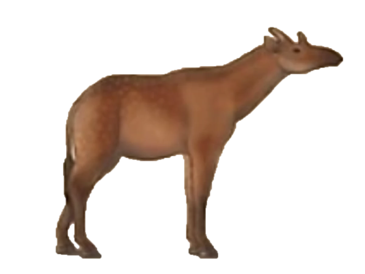 Giraffokeryx | More Dinosaurs! Wiki | Fandom