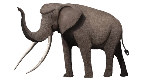 Palaeoloxodon Namadicus | More Dinosaurs! Wiki | Fandom