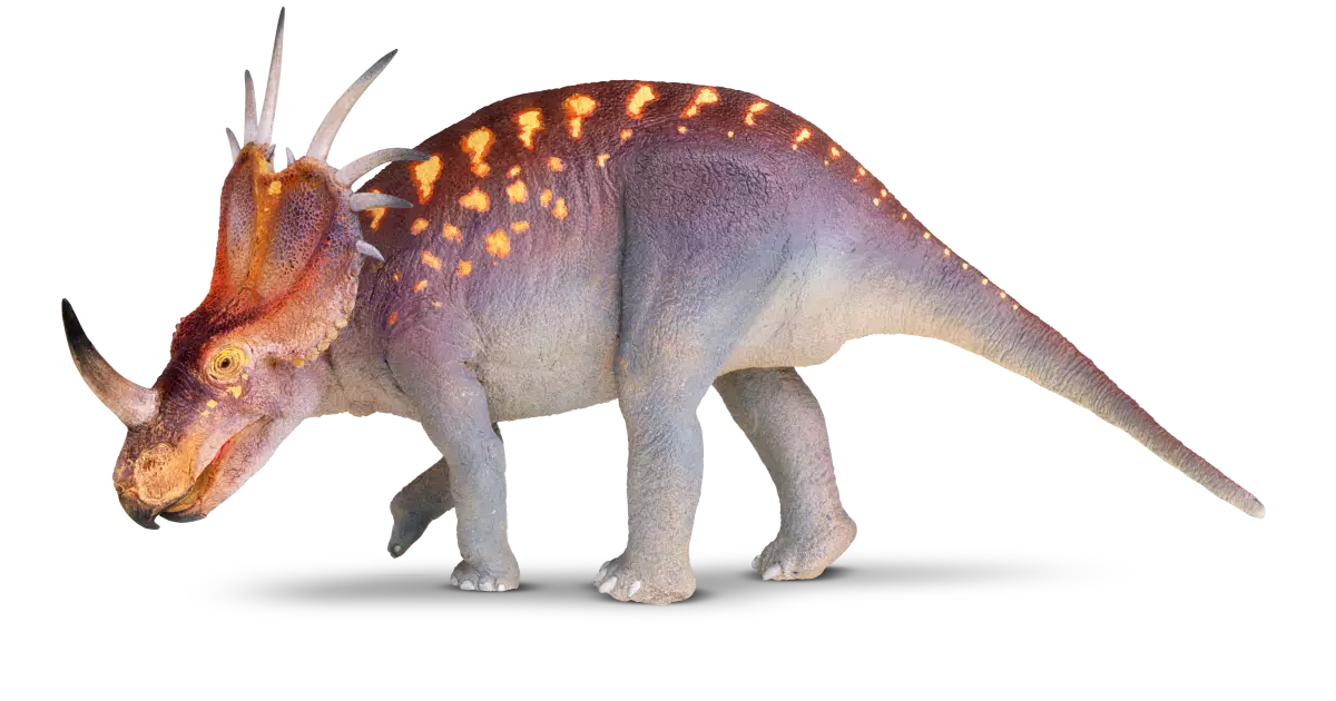 Styracosaurus | More Dinosaurs! Wiki | Fandom