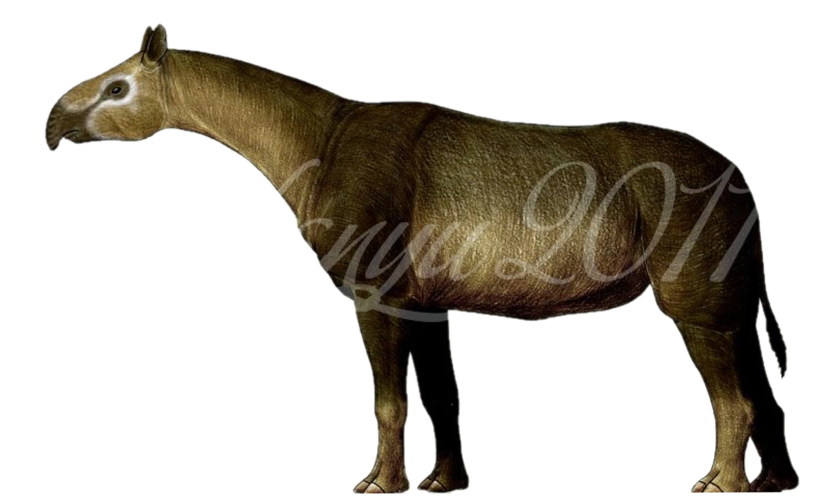 Dzungariotherium | More Dinosaurs! Wiki | Fandom