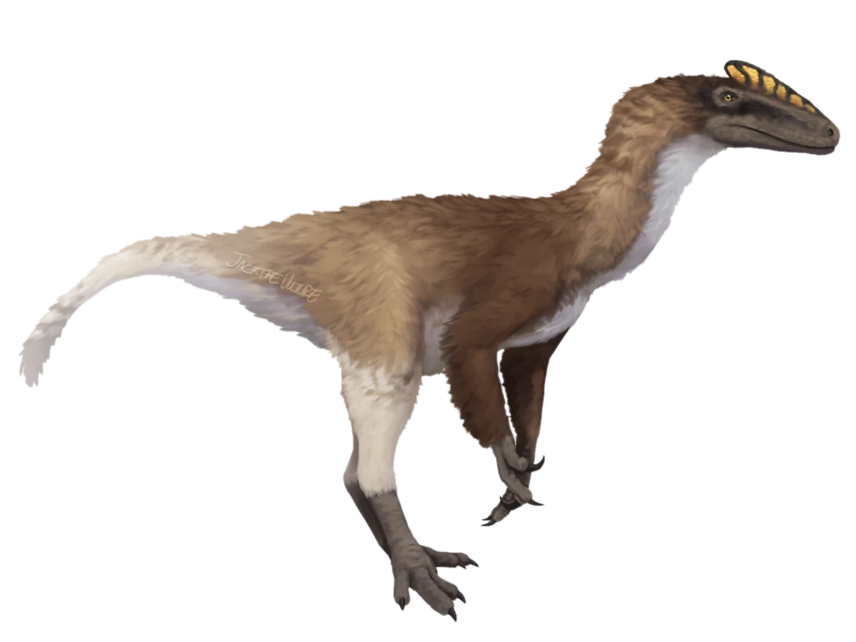 Guanlong | More Dinosaurs! Wiki | Fandom