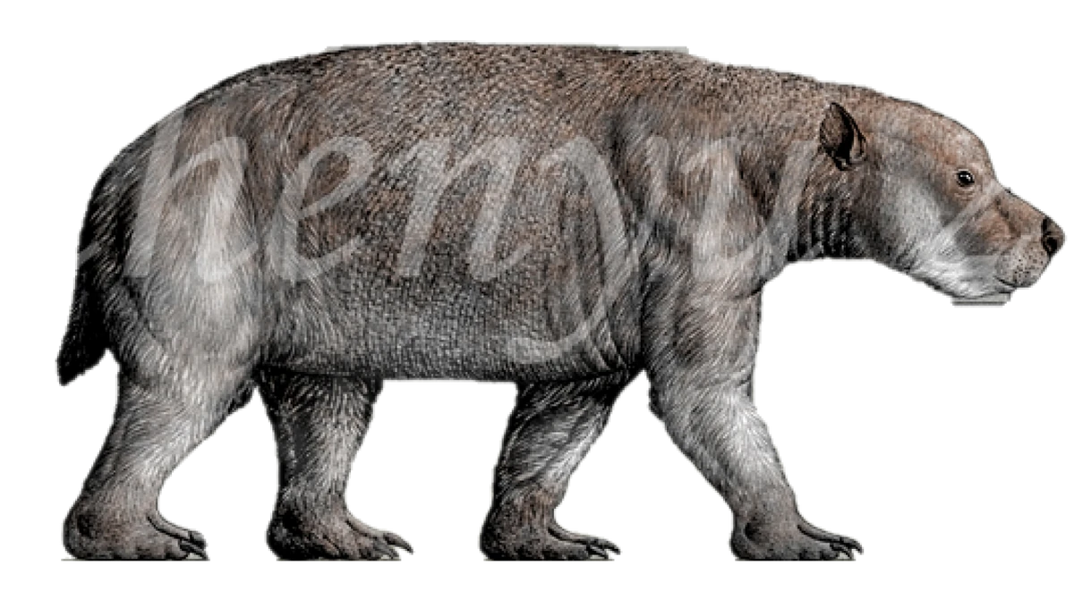 Huliatherium | More Dinosaurs! Wiki | Fandom