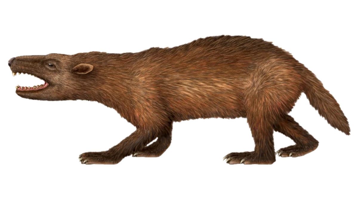 Triconodon | More Dinosaurs! Wiki | Fandom