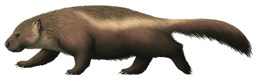 Sarkastodon | More Dinosaurs! Wiki | Fandom